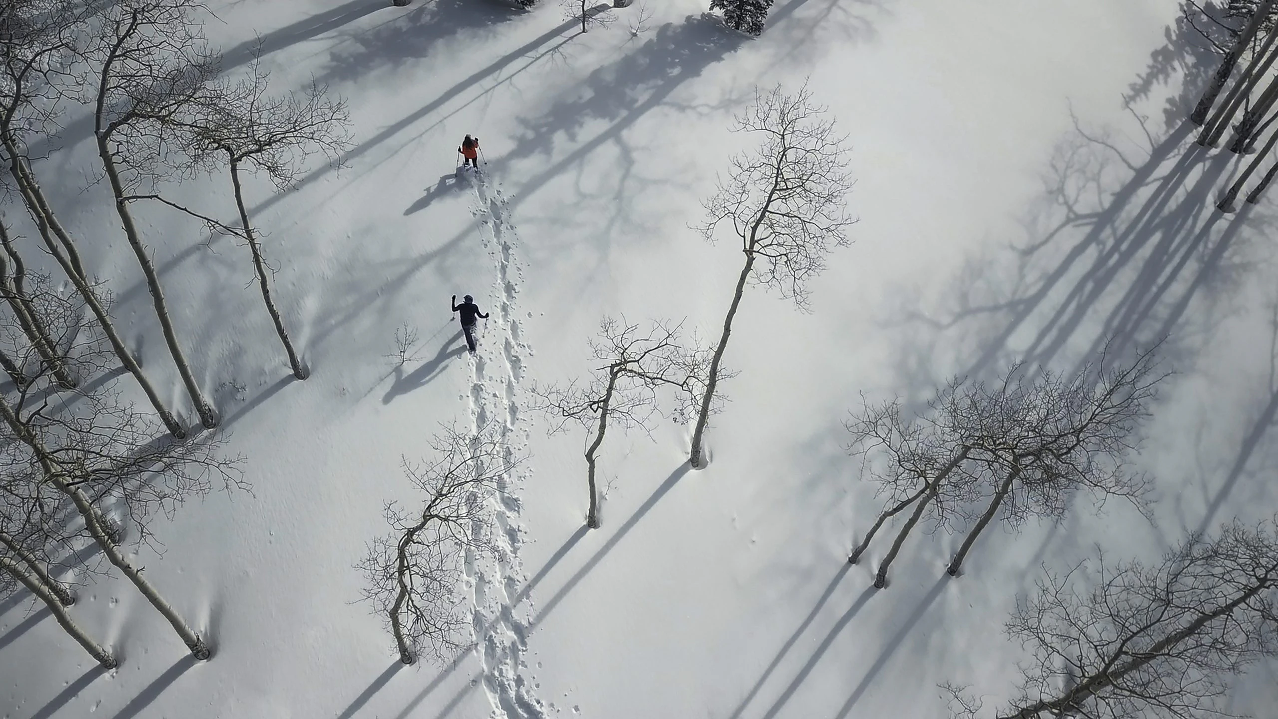 Beaver Creek Colorado | Luxury Ski Resort Guide
