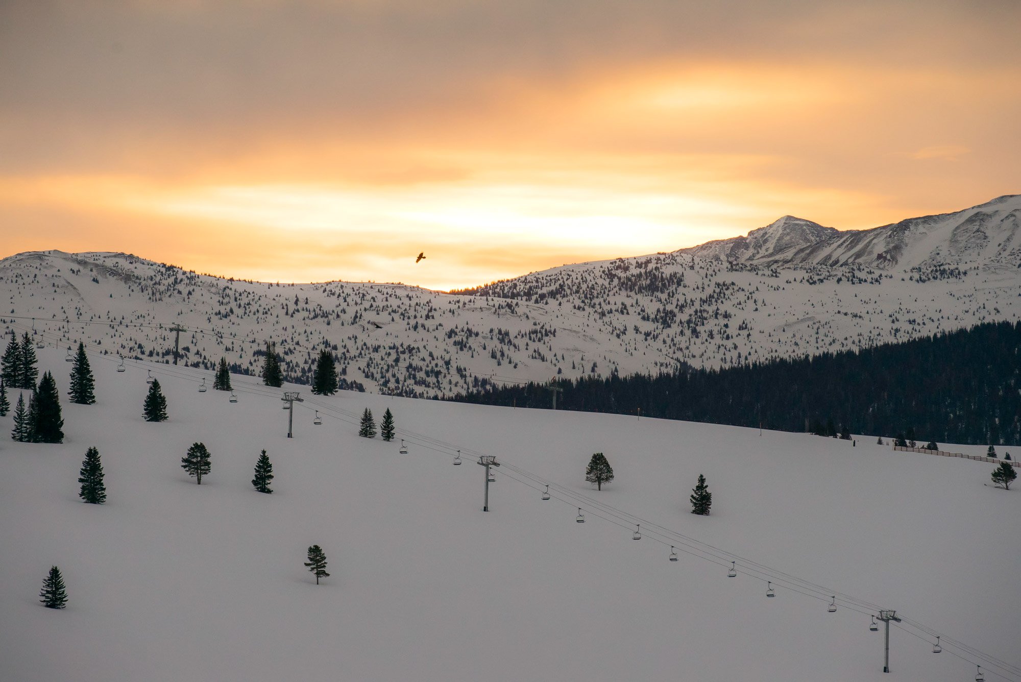 Vail Lift Tickets | Your Complete Guide to Enjoying Vail Resort