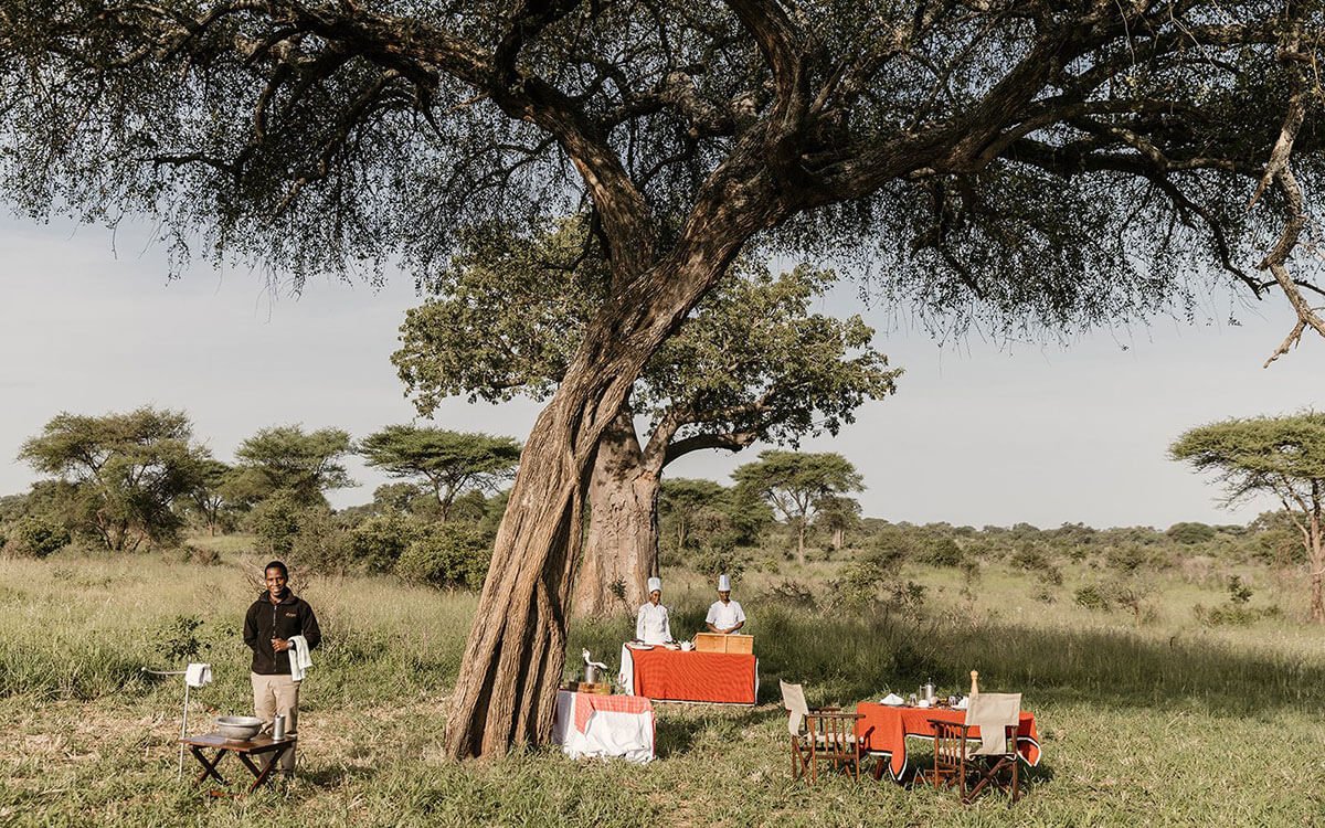 Tarangire Treetops | Elevated Safari Retreat
