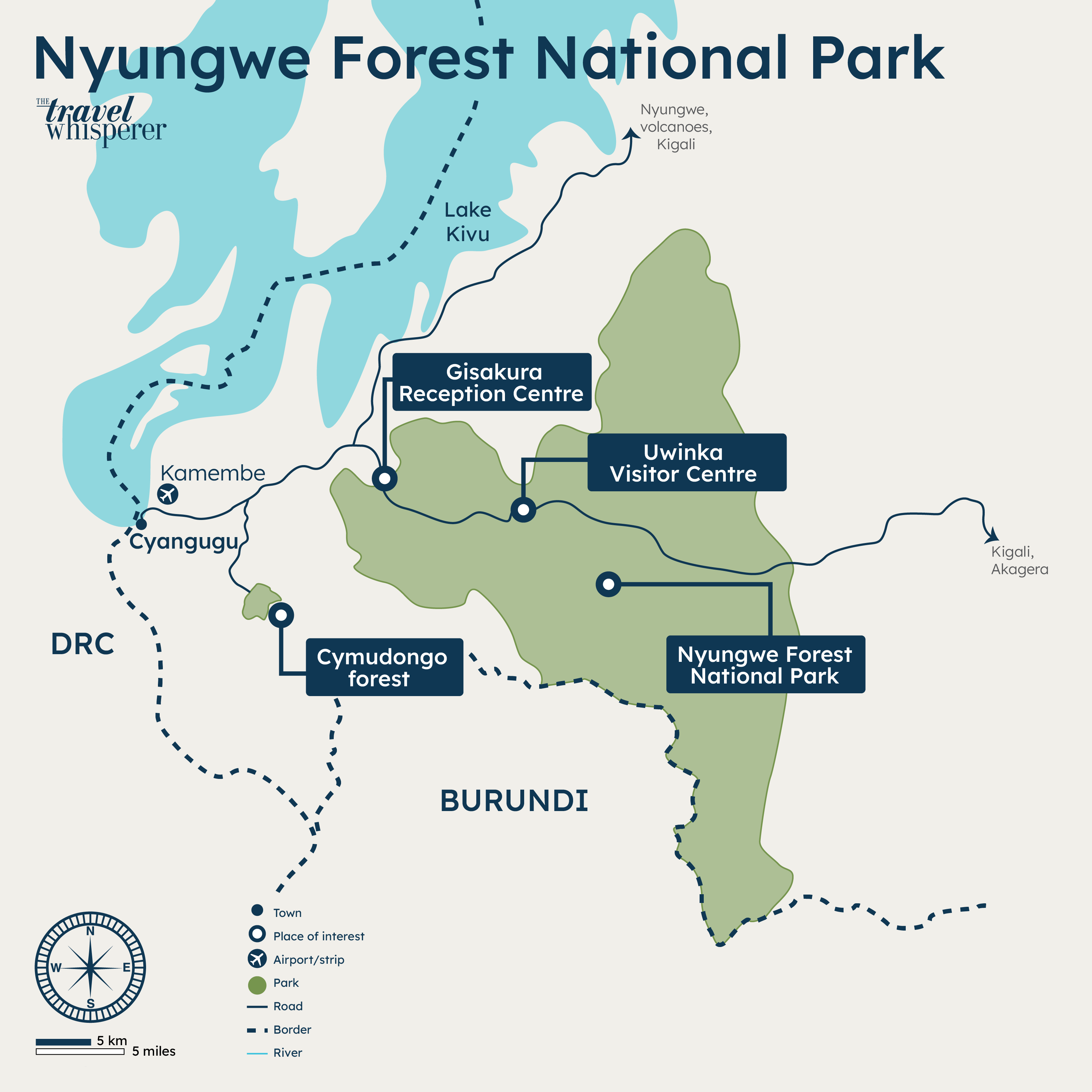 Explore Nyungwe Forest | Primate Trekking & Canopy Walks