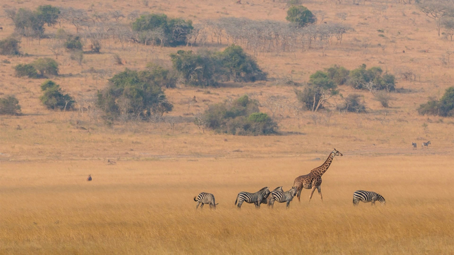 Akagera National Park | Rwanda’s Big Five Safari Destination