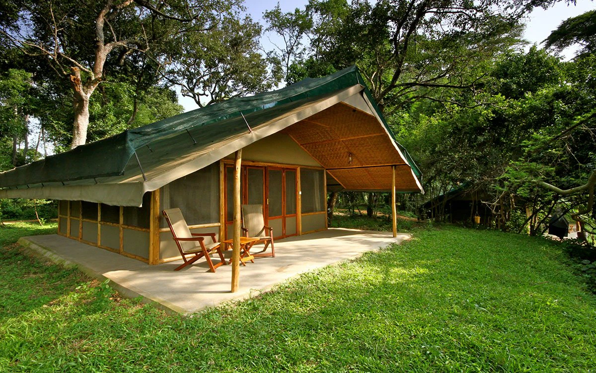 Queen Elizabeth National Park Safari | Uganda Wildlife