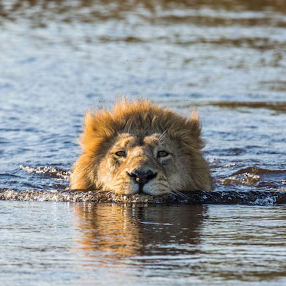 Botswana & the Okavango Delta | Plan Your Safari