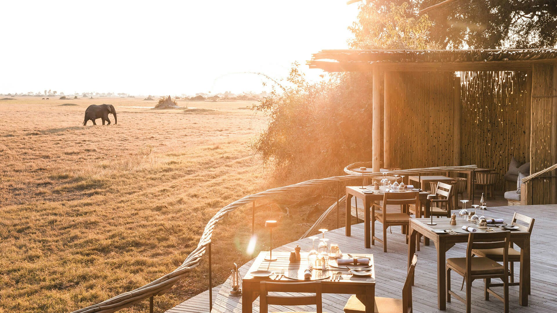 Mombo Camp | Luxury Safari in Botswana’s Wildlife Haven